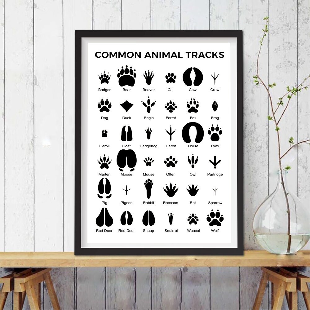 Common Animal Tracks Poster Rustic Animal Tracks Woodland House Wall ...