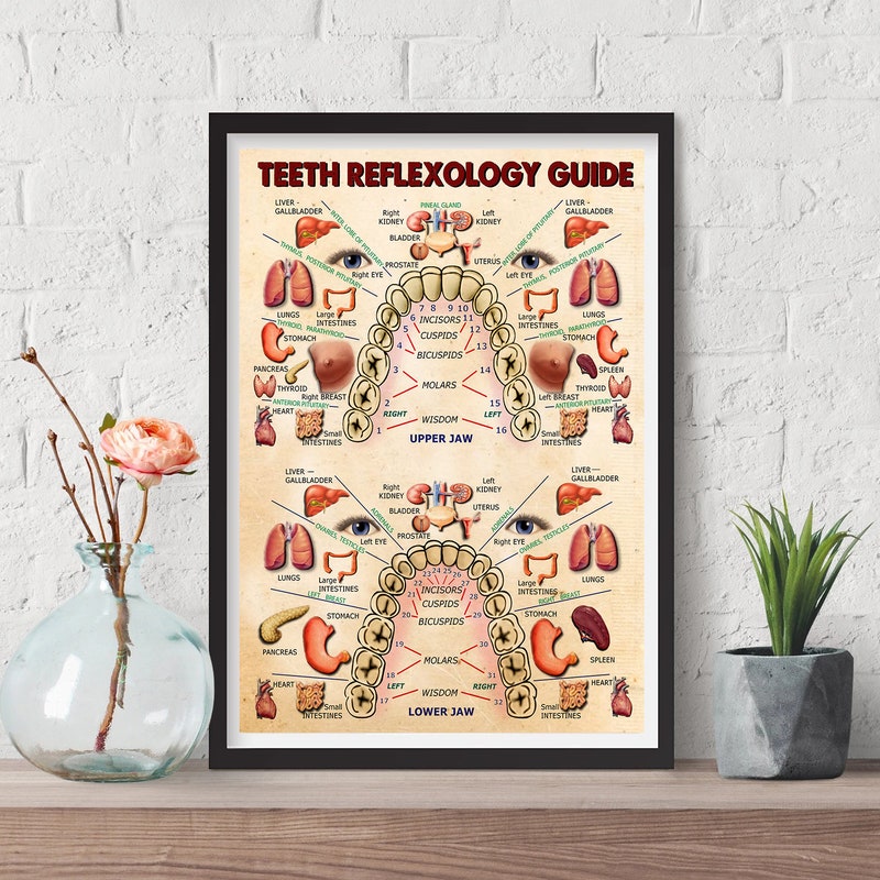 Reflexology Poster - Etsy