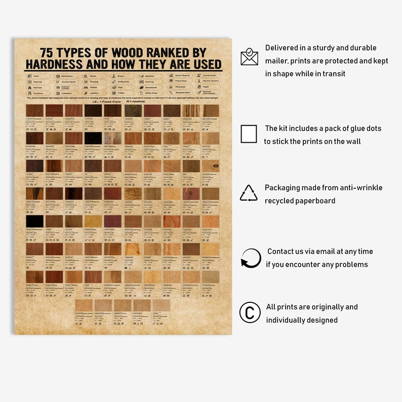 Carpentry Knowledge Poster 75 Types of Wood Ranked by Hardness How They ...