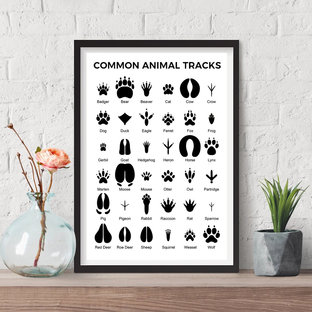 Common Animal Tracks Poster Rustic Animal Tracks Woodland House Wall ...