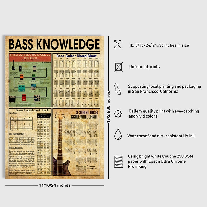 Bass Guitar Knowledge Poster Bass Guitar Chord Chart Study Guide Signs ...