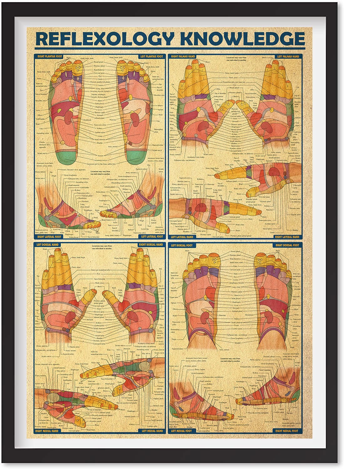 Meridian Chart Poster Foot Anatomy Medicine Wall Art Knowledge ...