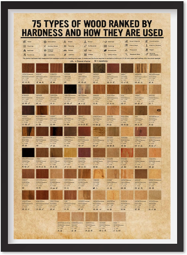 Carpentry Knowledge Poster 75 Types of Wood Ranked by Hardness How They ...