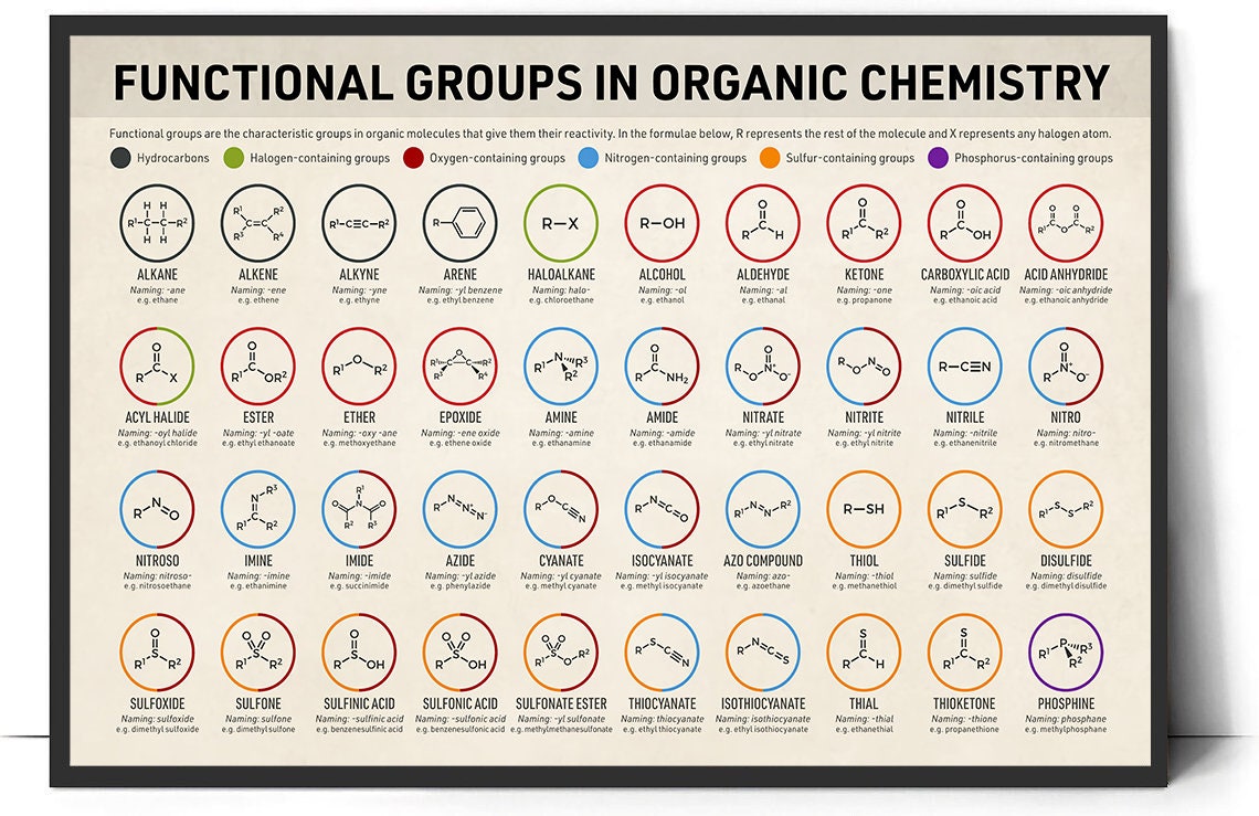 Functional Groups in Organic Chemistry Poster Science Wall Art ...