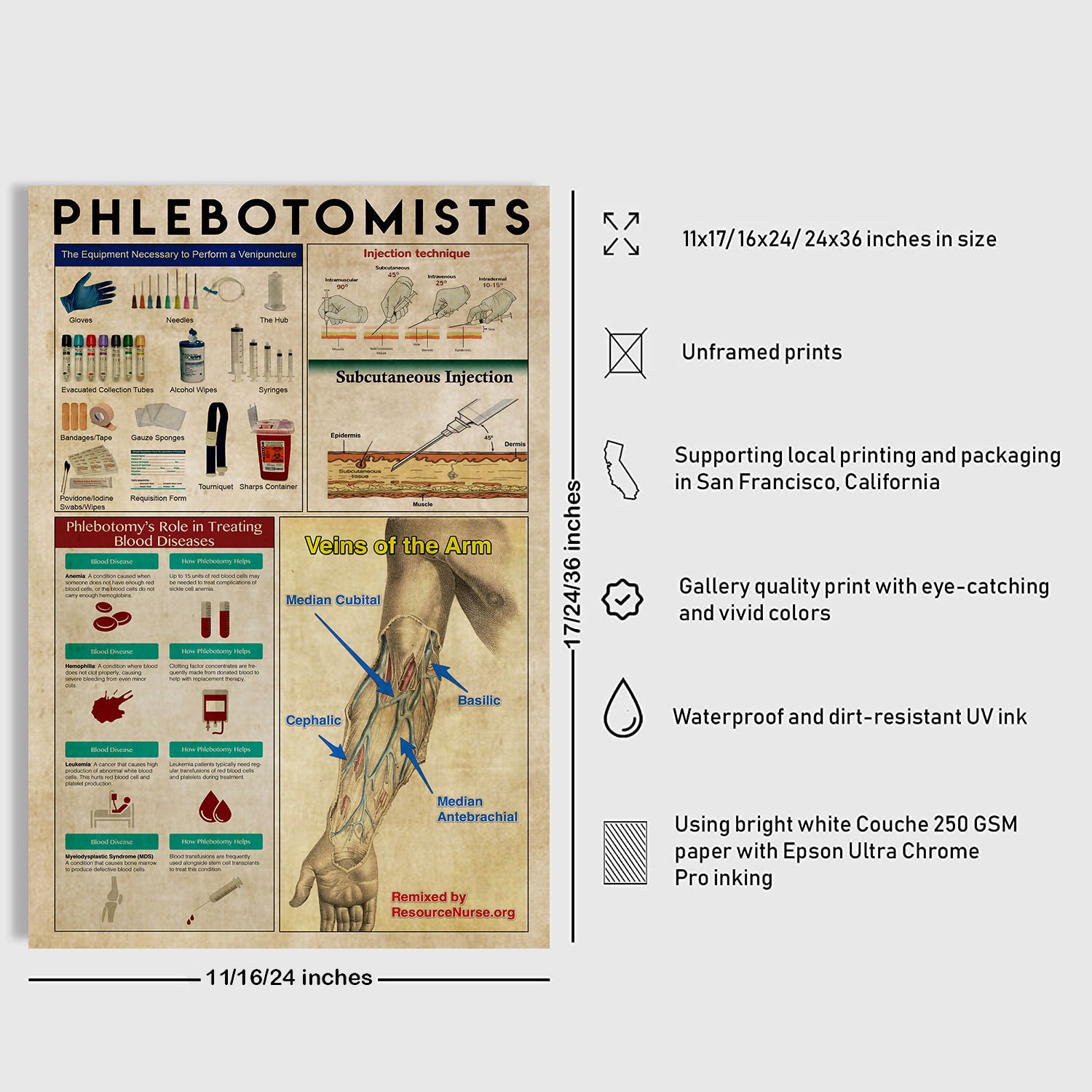 Phlebotomists Knowledge Poster Veins of the Arm Retro Poster - Etsy