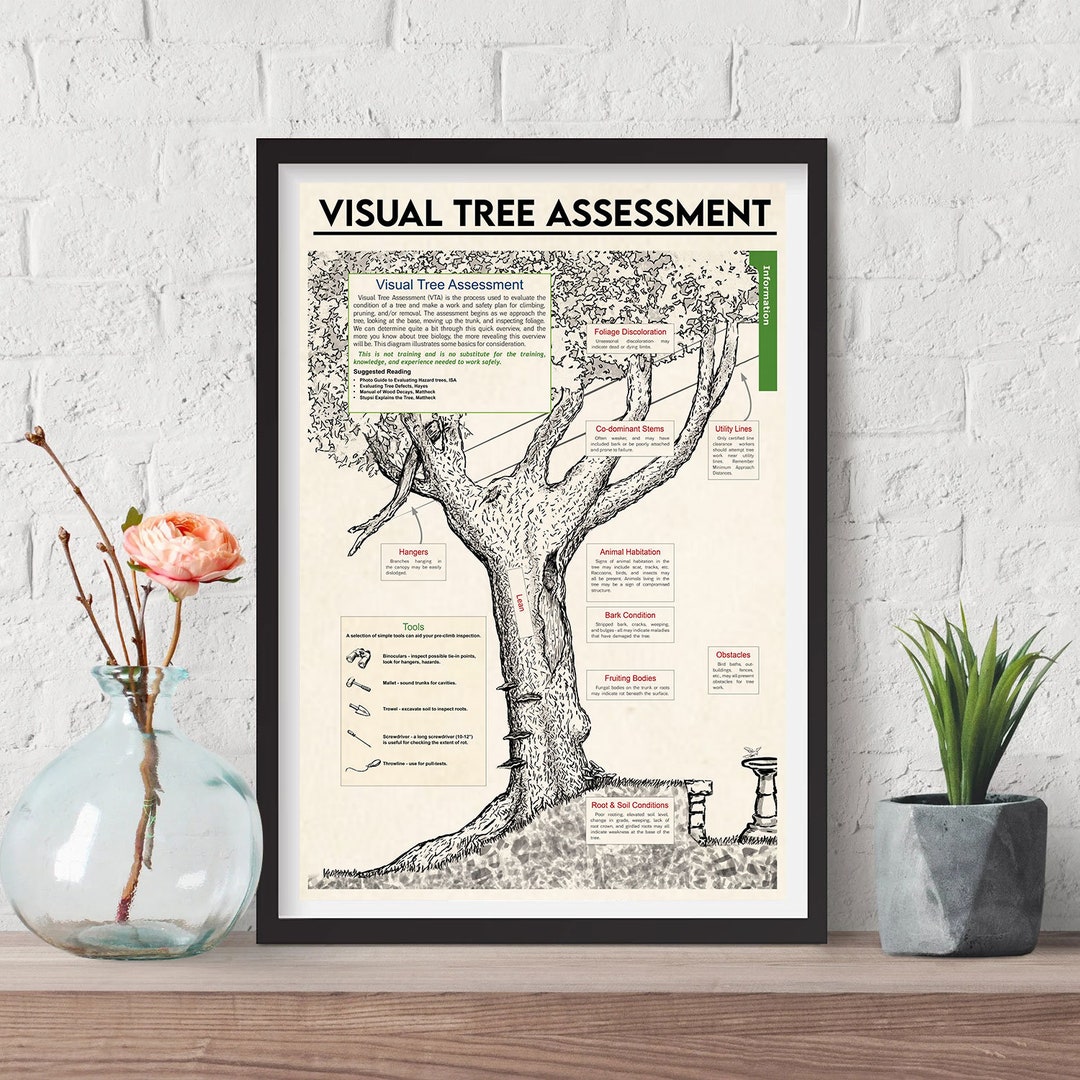 Visual Tree Assessment Poster, Arboriculture Knowledge Vintage Digital ...
