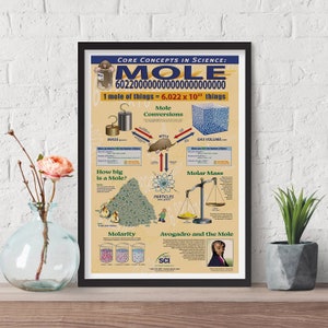 Mole - Etsy