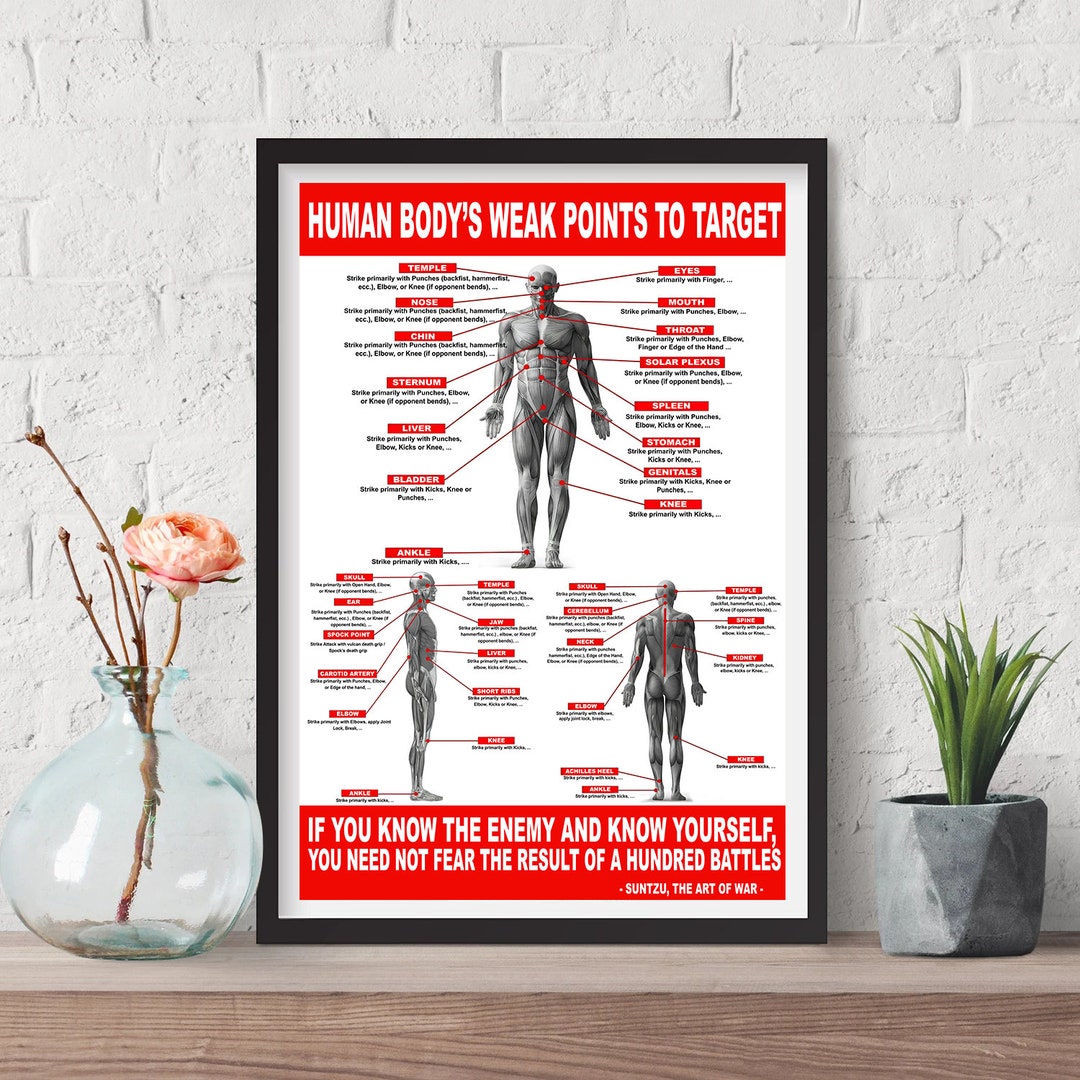 Human Body's Weak Points to Target Poster Human Body Knowledge Poster ...