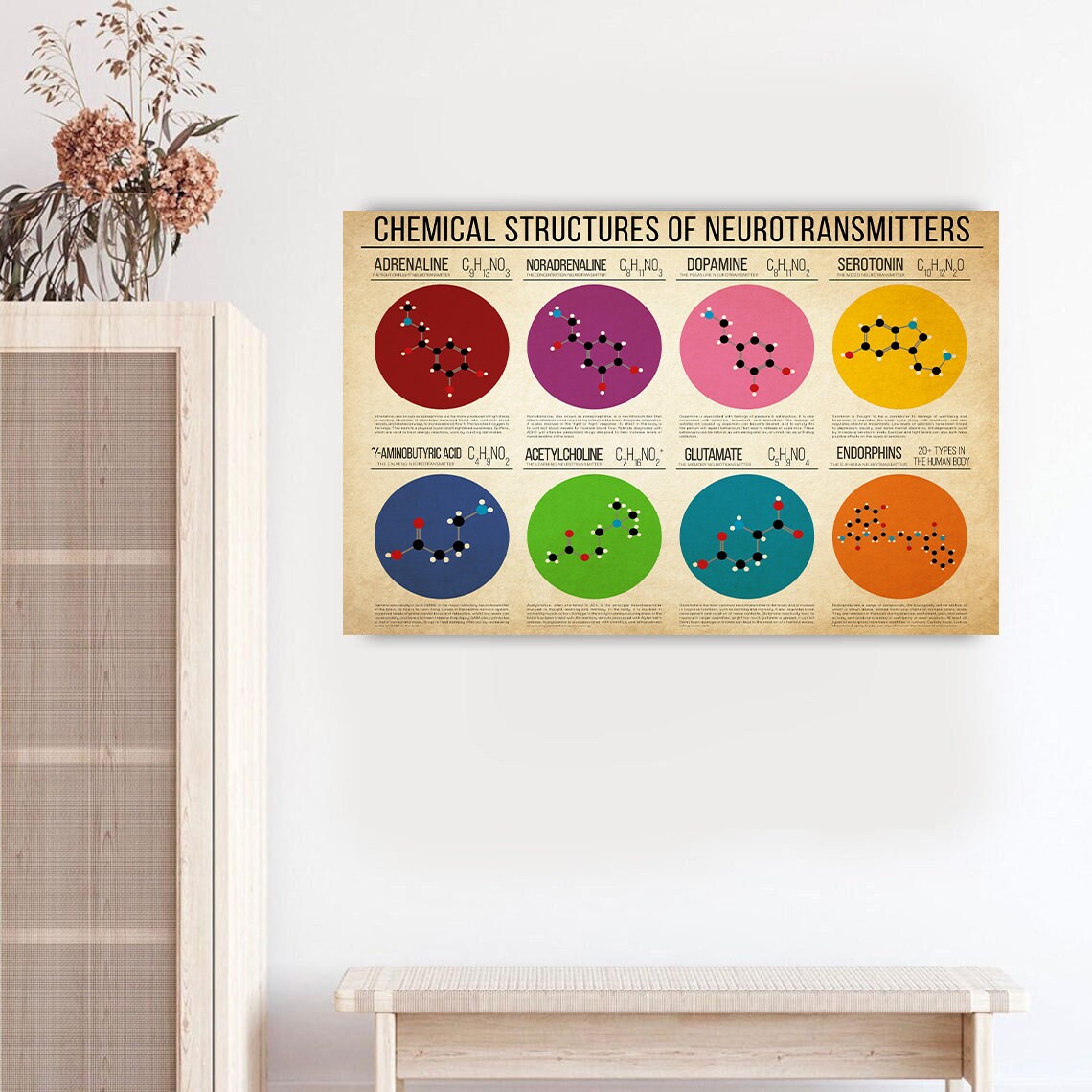 Chemical Structures of Neurotransmitters Poster Science Wall - Etsy