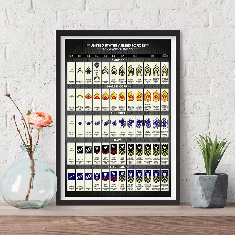 Laminated United States Army Rank Chart Reference, United States Armed ...