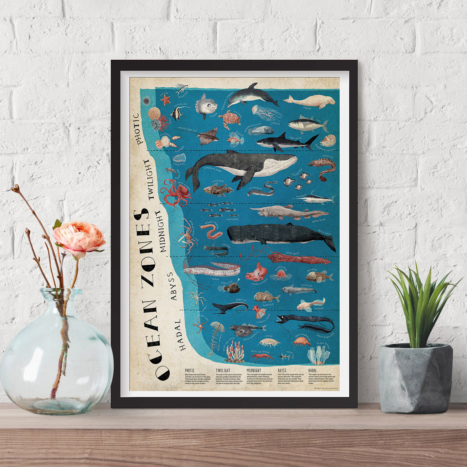 The Layers Ocean Zones Poster Educational Science Classroom - Etsy