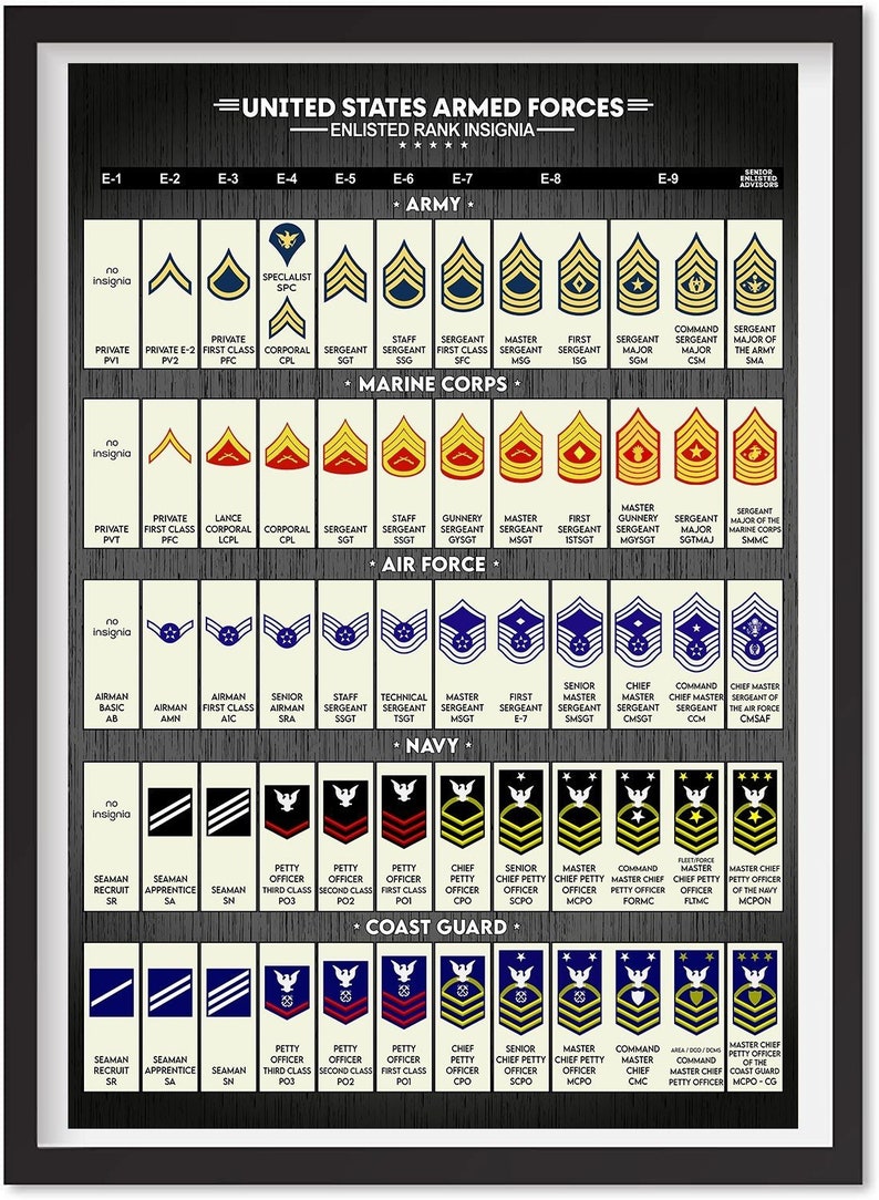 Laminated United States Army Rank Chart Reference, United States Armed ...
