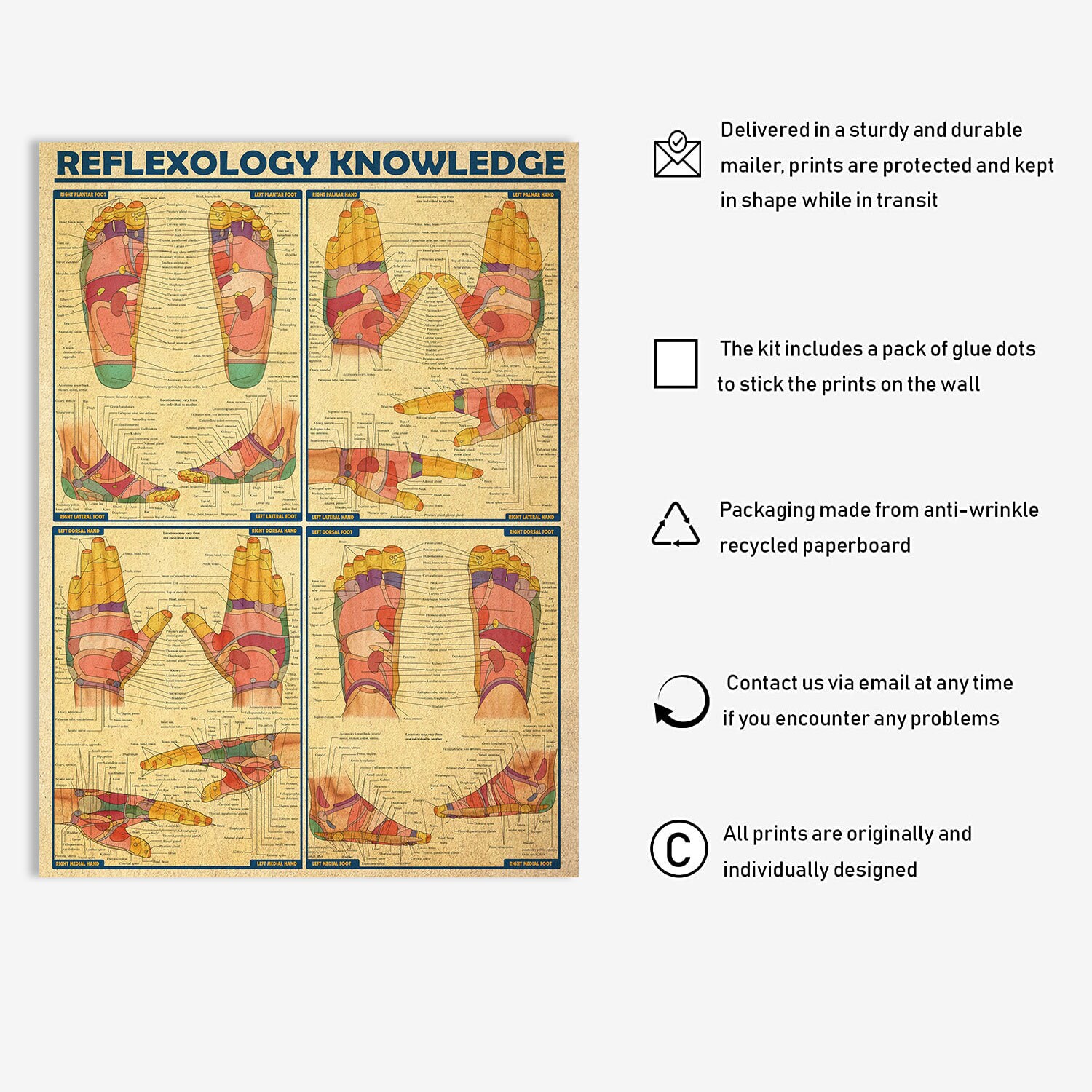 Meridian Chart Poster Foot Anatomy Medicine Wall Art Knowledge ...