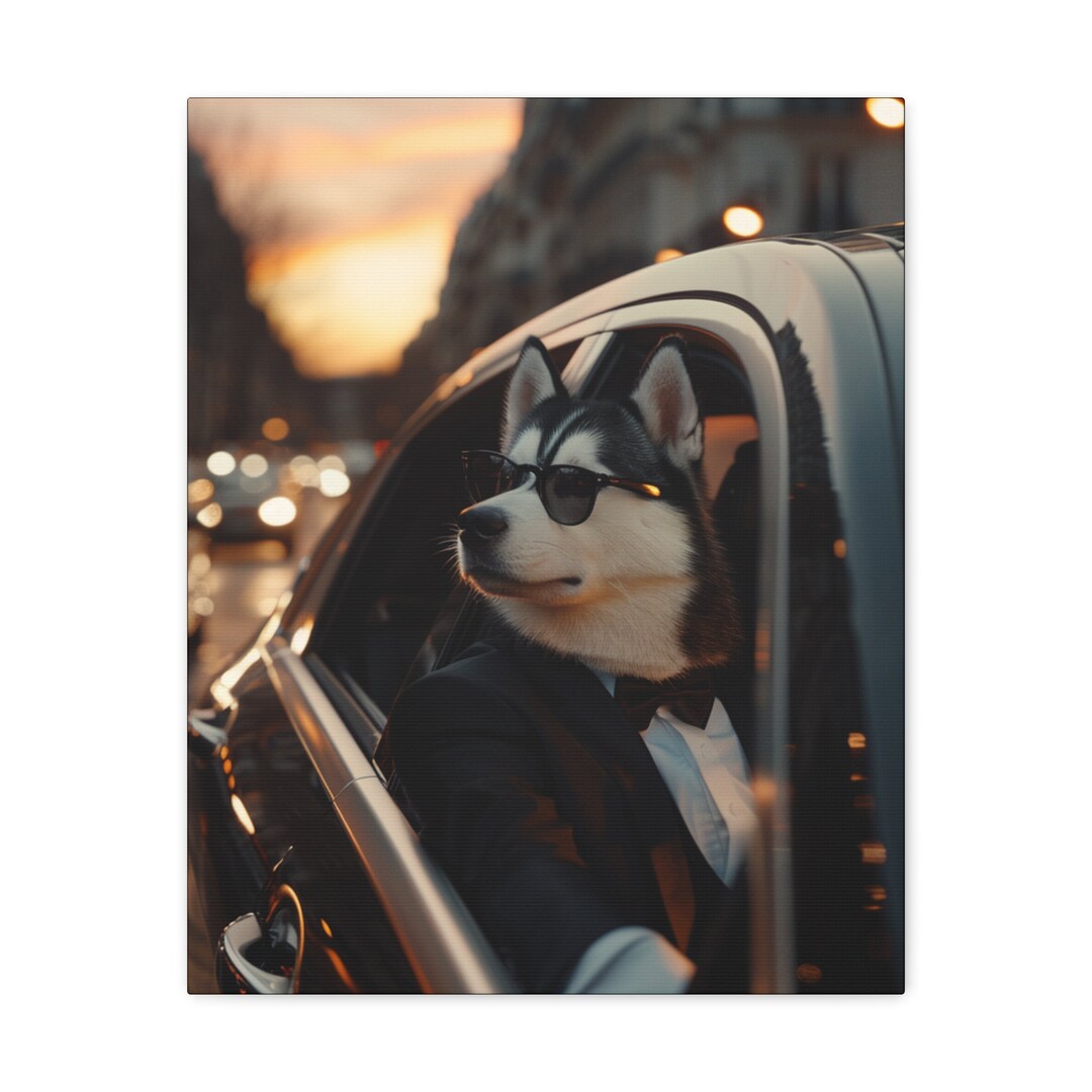 Siberian Husky in Tuxedo & Glasses by Mercedes Maybach Paris Sunset ...