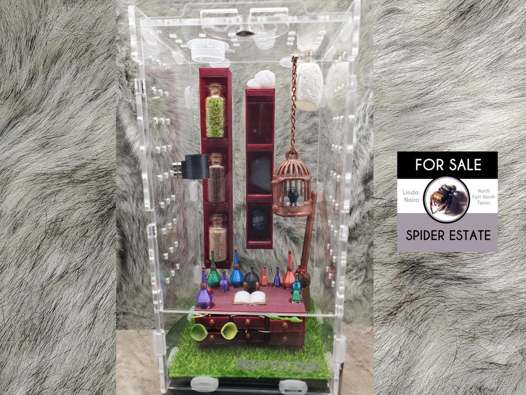 Jumping Spider Wizard Potions Enclosure Habitat Front Opening - Etsy