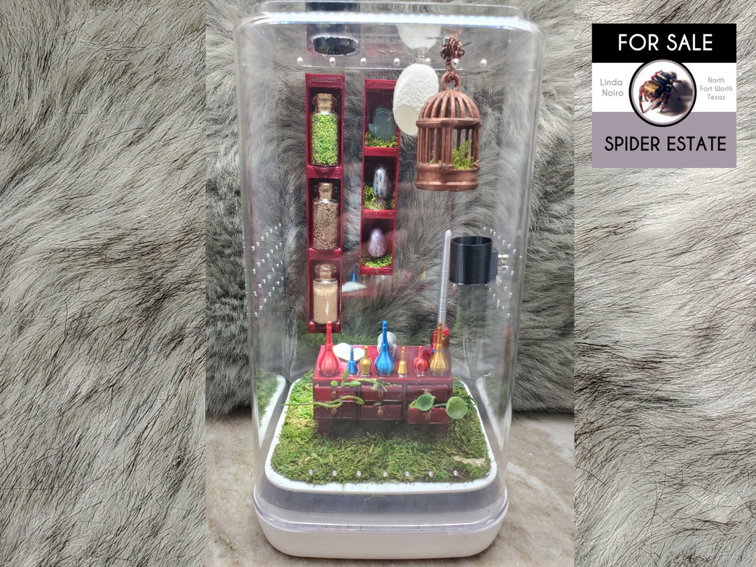 Jumping Spider Potions Enclosure Habitat - Etsy
