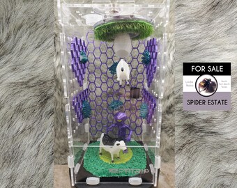 Jumping Spider Enclosure Front Opening Spood Walker Ranch UFO Alien ...