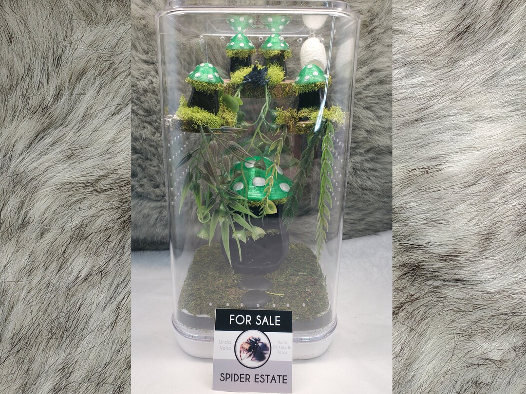 Jumping Spider Enclosure Alien Mushroom Village - Etsy