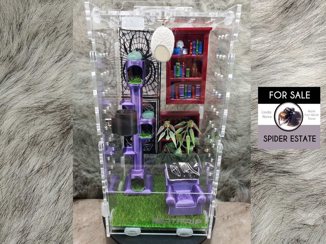 Purple Reading Nook Front Opening Jumping Spider Enclosure - Etsy