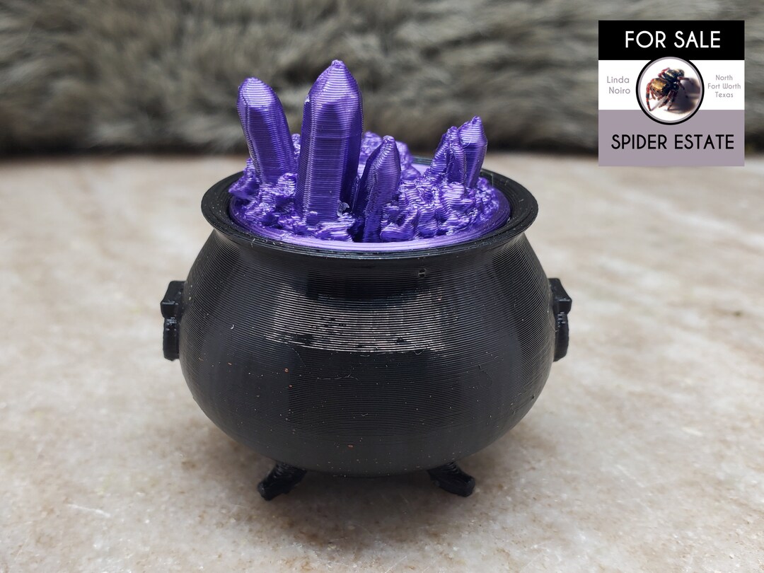 Jumping Spider Crystal Cauldron Hide Decor - Etsy