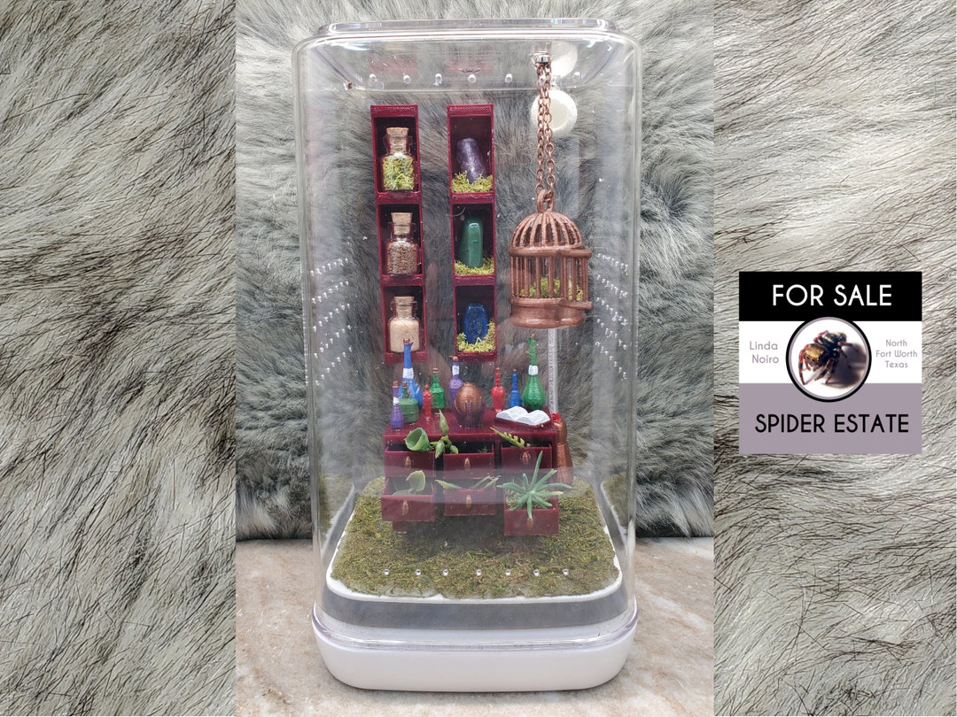 Jumping Spider Potions Enclosure - Etsy