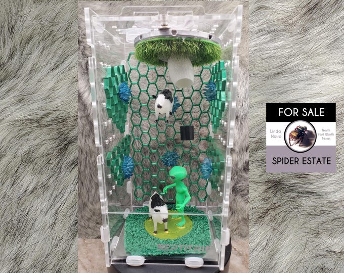 Jumping Spider Enclosure Front Opening Spood Walker Ranch UFO Alien ...