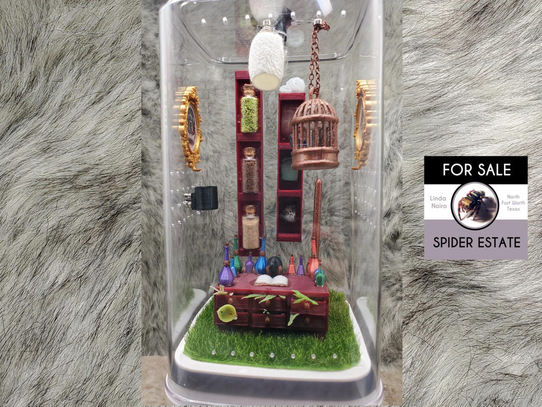 Jumping Spider Wizard Potions Enclosure Habitat - Etsy