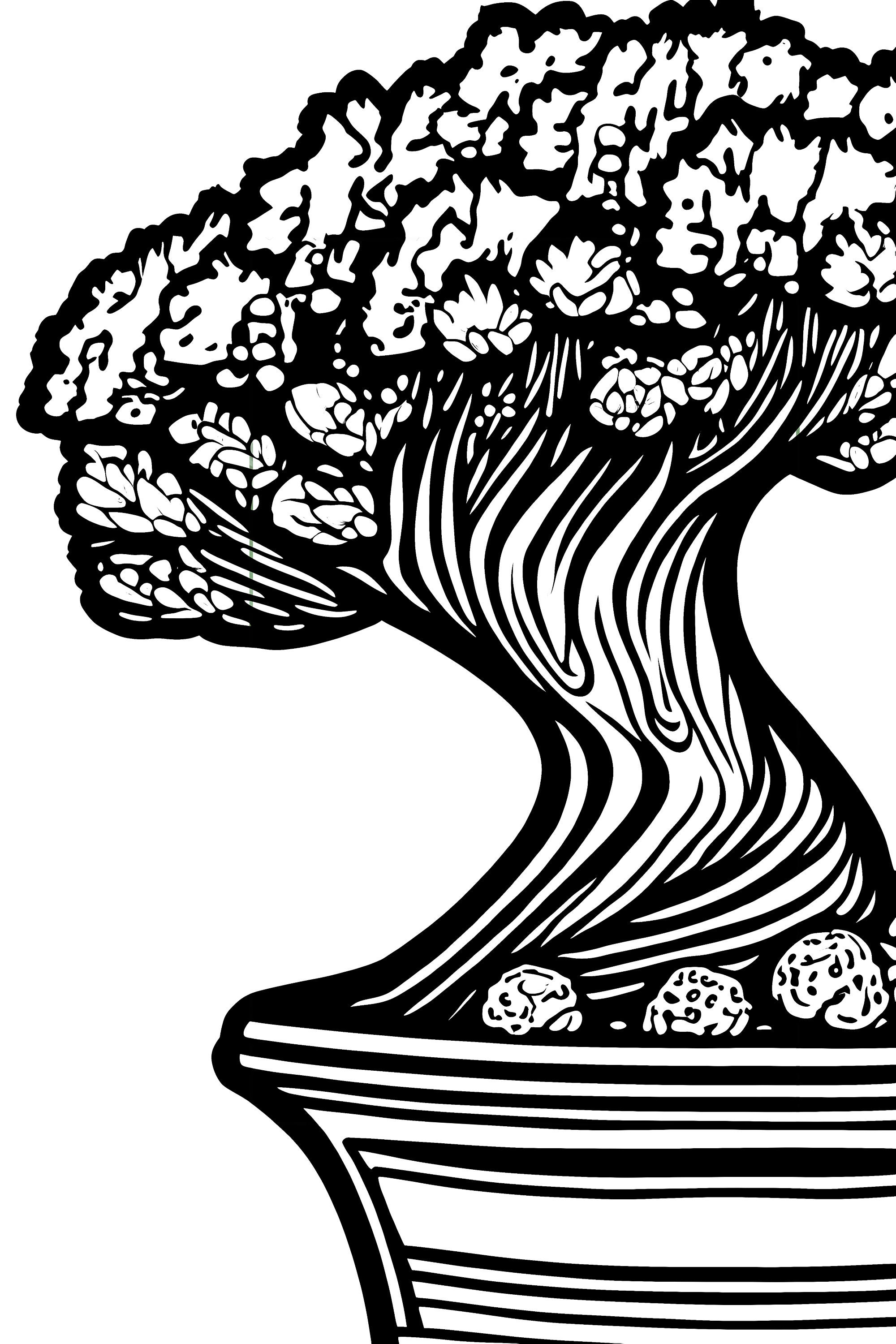 Bonsai Tree Coloring Pages - Etsy