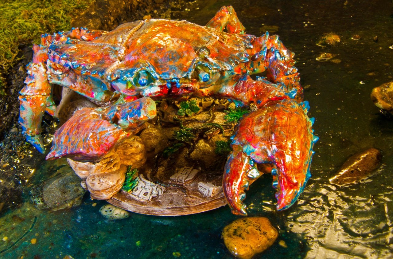 Pirate Captain Crab Drill on a Giant Crab - Etsy