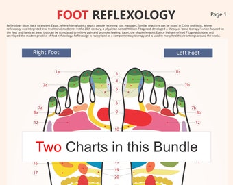 Teeth Reflexology Guide, Photographic Paper Print, 3 Sizes - Etsy