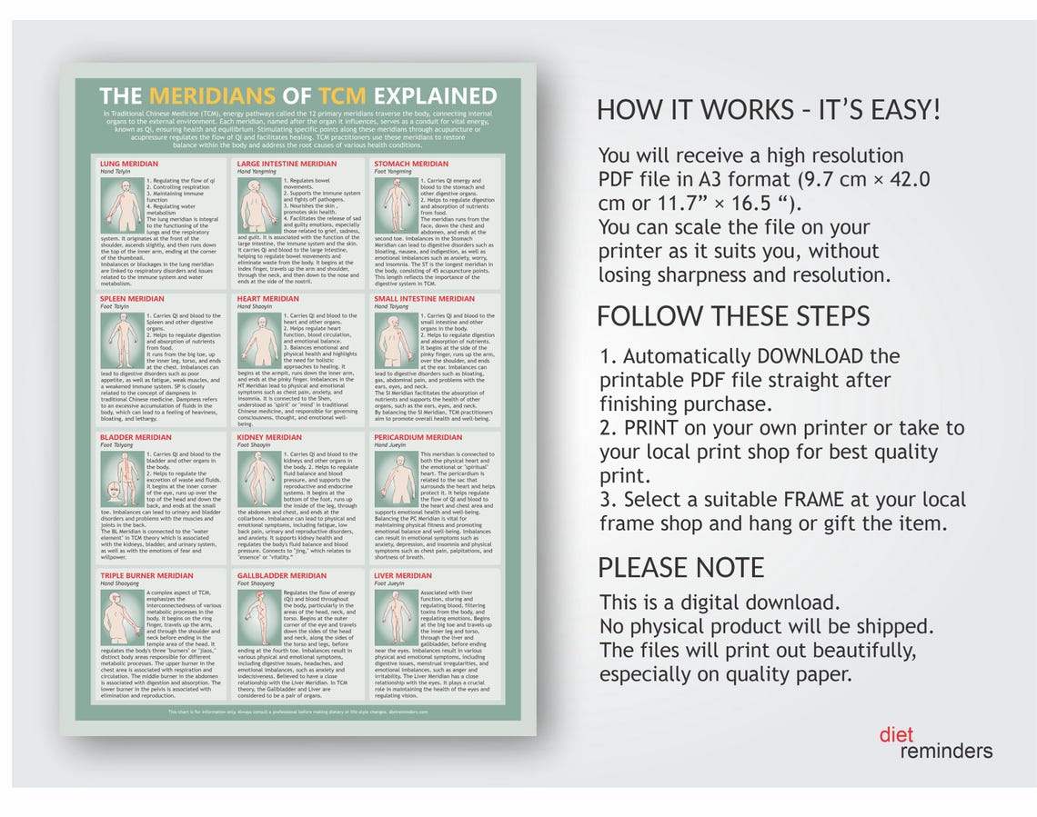 TCM Meridians A3 Poster: Chinese Medicine Chart (digital Download) - Etsy