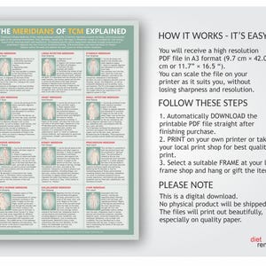TCM Meridians A3 Poster: Chinese Medicine Chart (digital Download) - Etsy