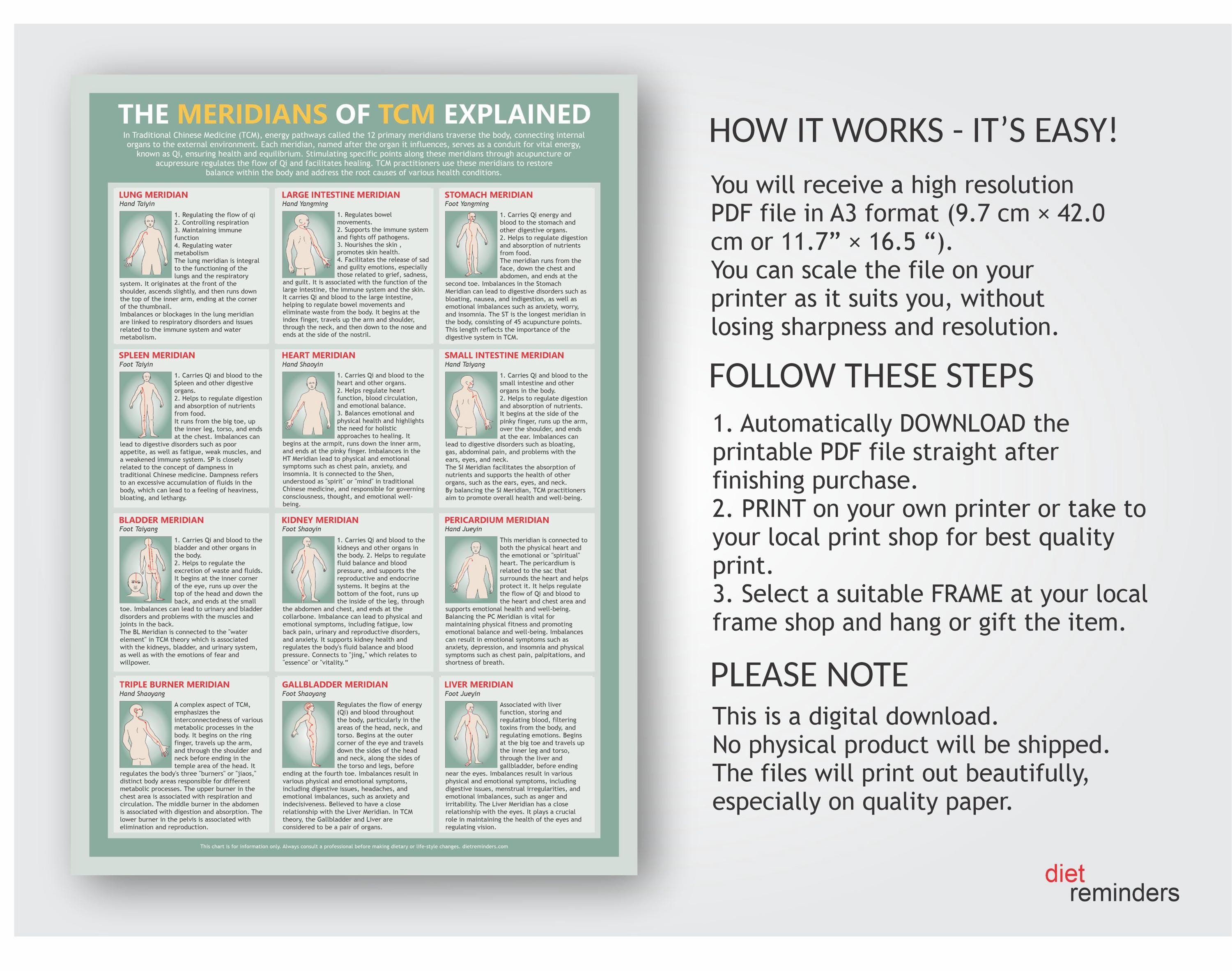 TCM Meridians A3 Poster: Chinese Medicine Chart (digital Download) - Etsy