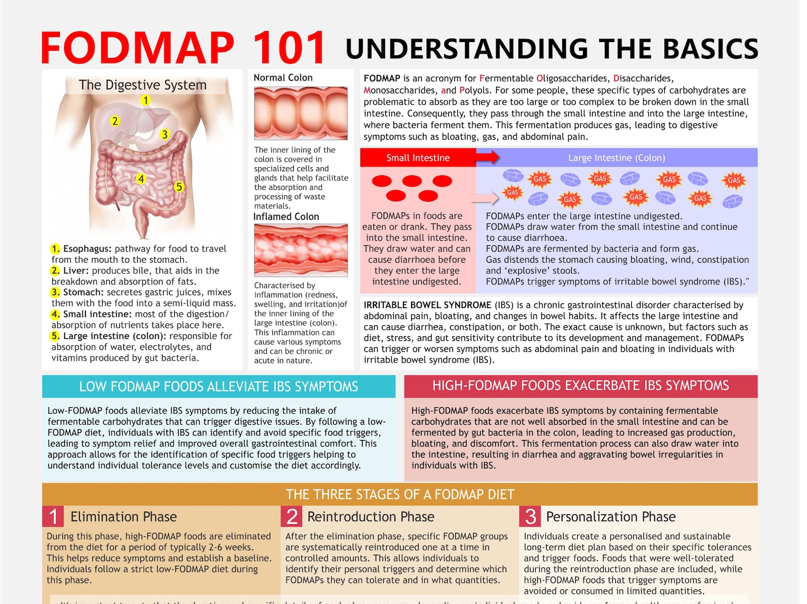 FODMAP 101, Understanding Fodmap, IBS, Digital Download, Irritable ...