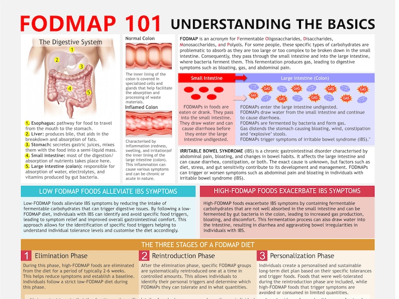 FODMAP 101, Understanding Fodmap, IBS, Digital Download, Irritable ...