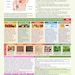 Prostate Infographic Chart, Digital Download PDF, Prostate Chart ...