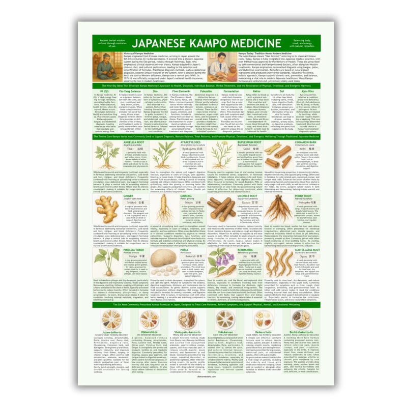 Japanese Kampo Medicine Chart A3 – Herbal Healing Guide – Traditional ...