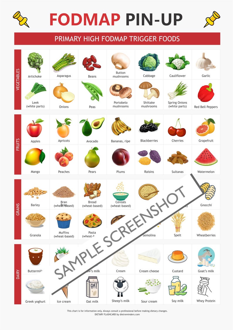 FODMAP Foods Visual Chart, High Fodmap Food Pin-up Chart, Digital ...