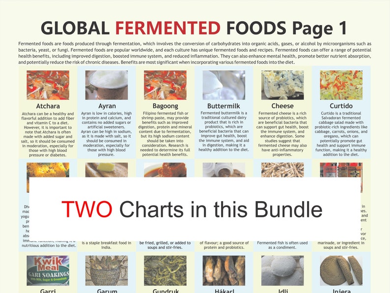 Fermented Foods Chart, Digital Download PDF, Global Fermentation, Food ...