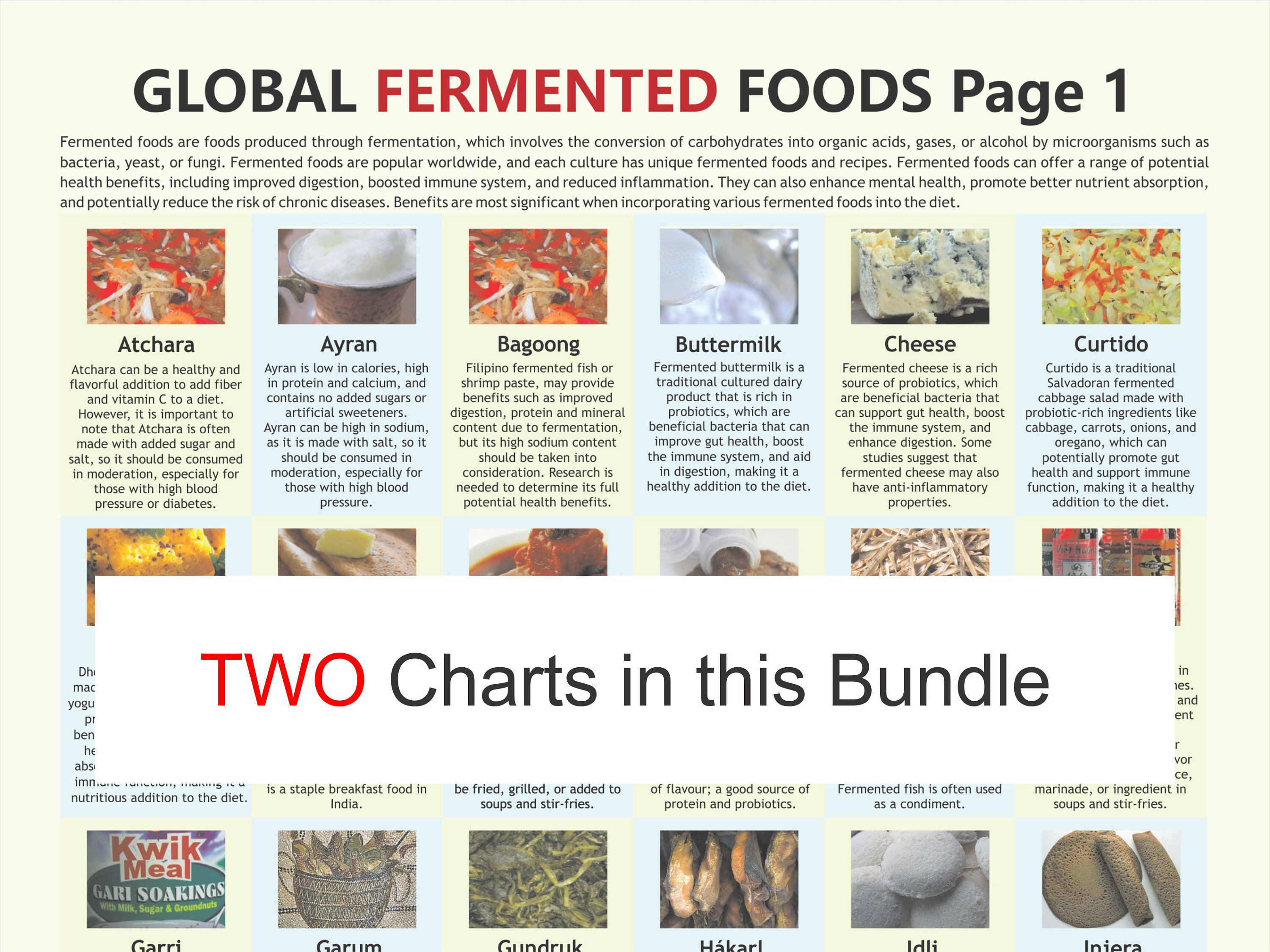 Fermented Foods Chart, Digital Download PDF, Global Fermentation, Food ...