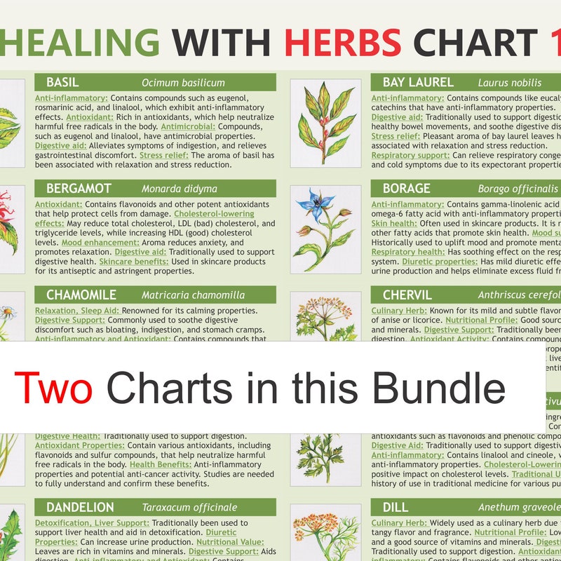 Medicinal Herb Charts - Etsy