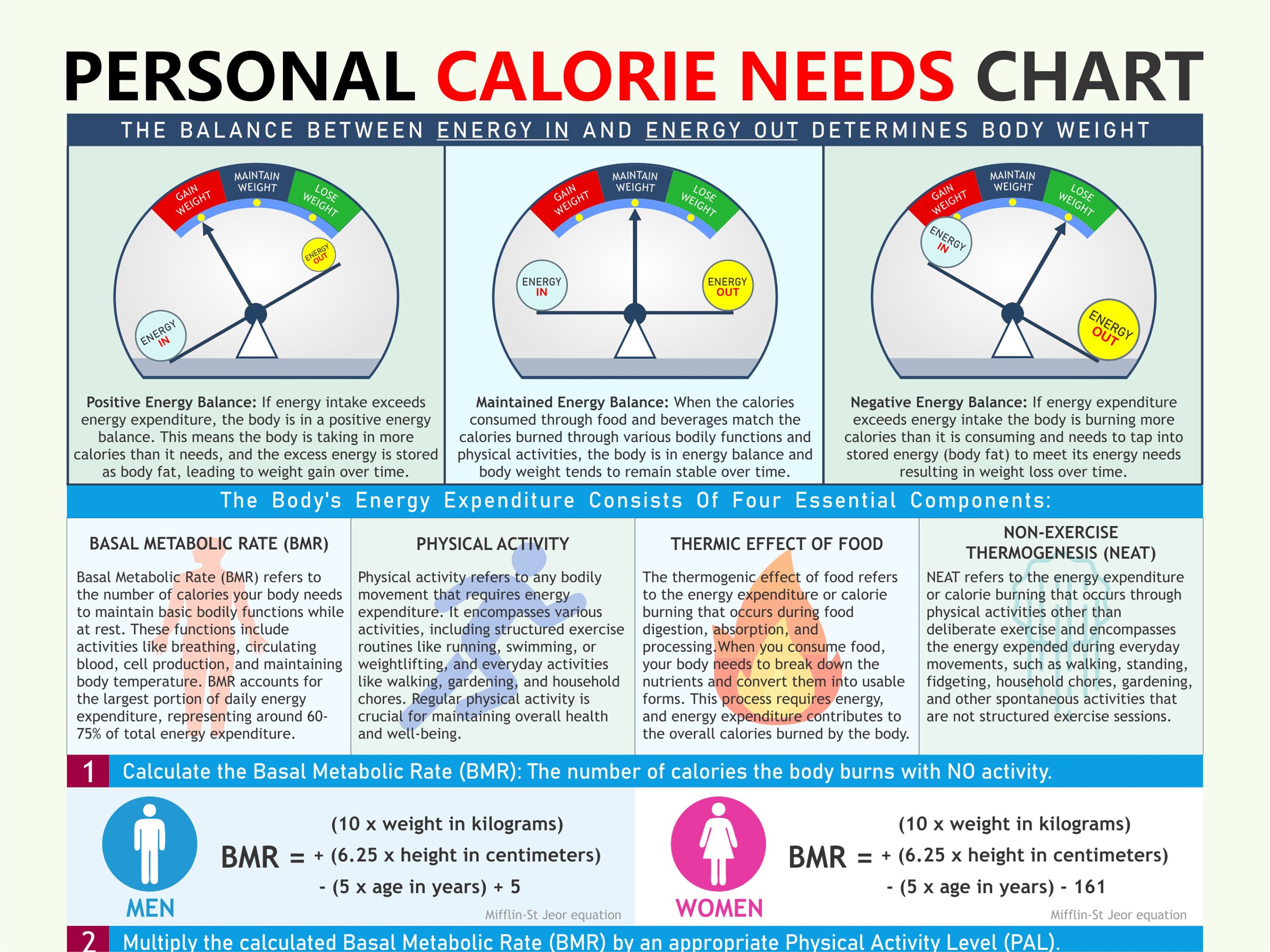 Personal Calorie Needs Chart: Weight Loss Planner (PDF) - Etsy