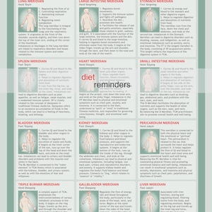 TCM Meridians A3 Poster: Chinese Medicine Chart (digital Download) - Etsy
