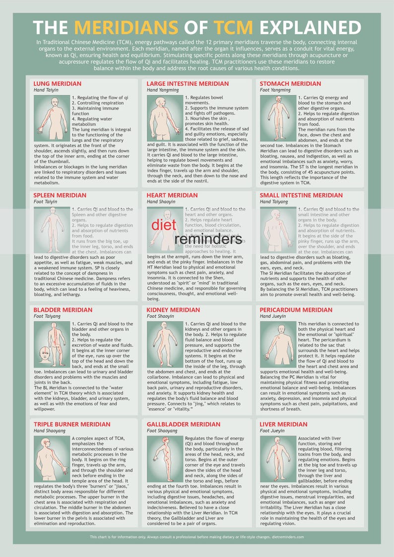 TCM Meridians A3 Poster: Chinese Medicine Chart (digital Download) - Etsy