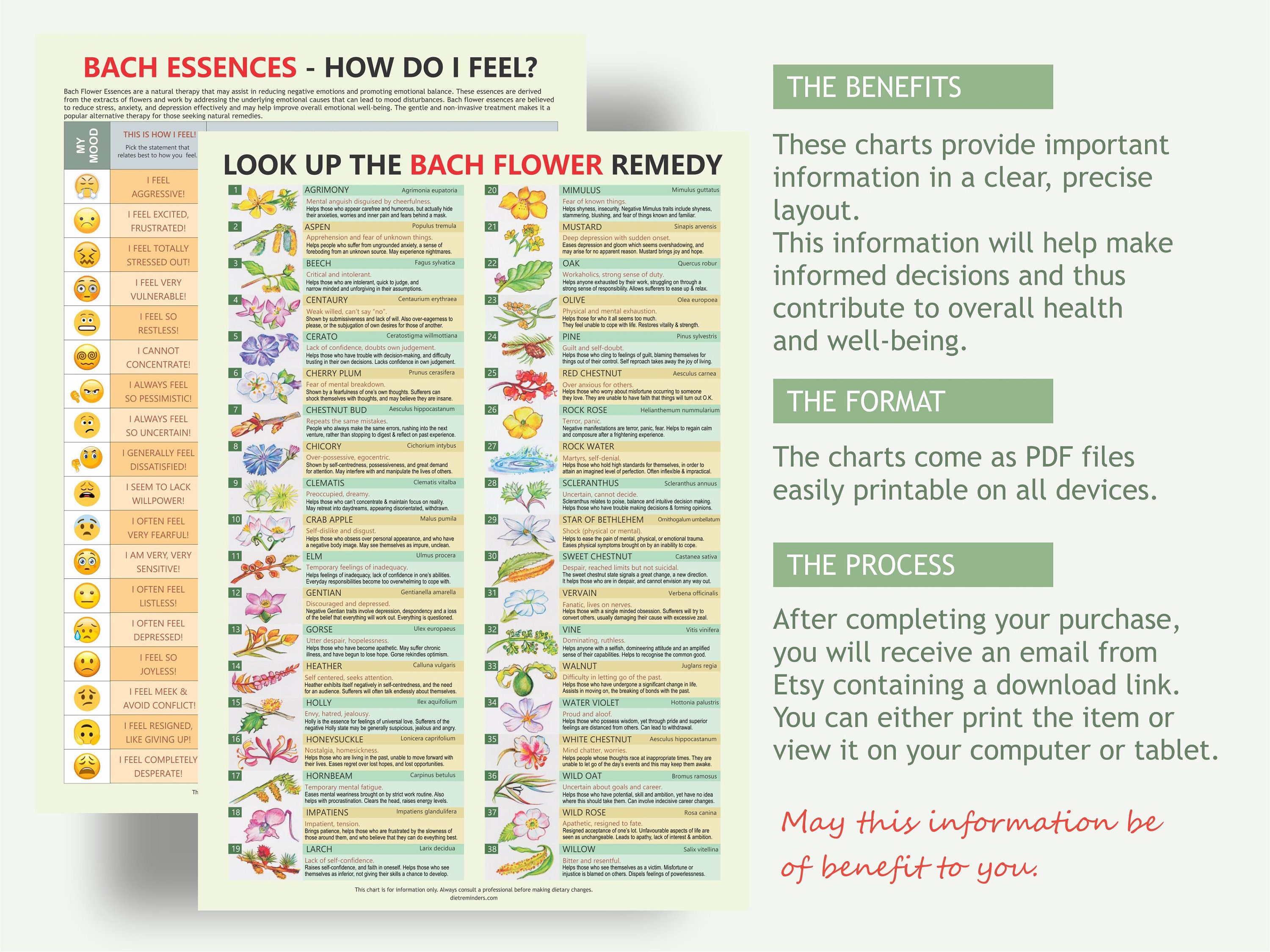 Bach Flower Remedies PDF • Self-help Mood Chart • Edward Bach Digital ...