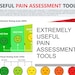 Pain Assessment Tools: Pain Scale Chart (PDF Download) - Etsy