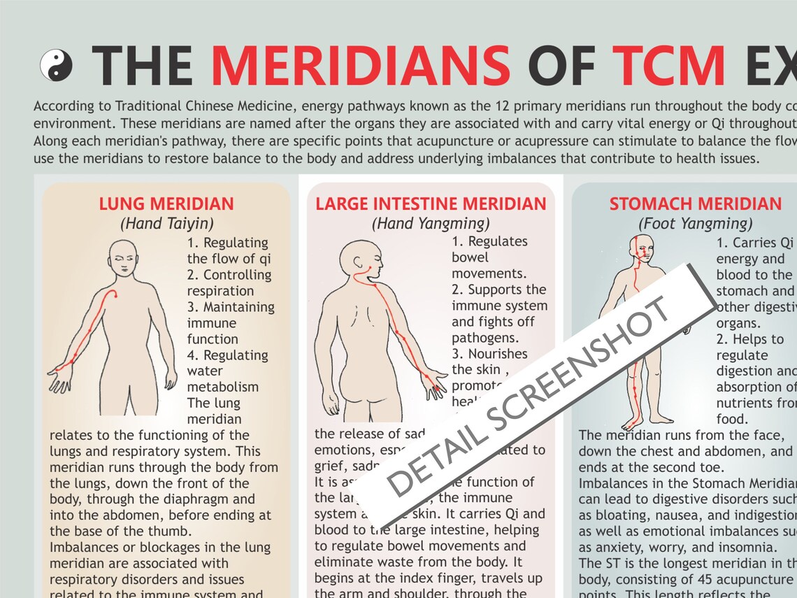 TCM Meridians Chart Digital Download PDF - Etsy UK