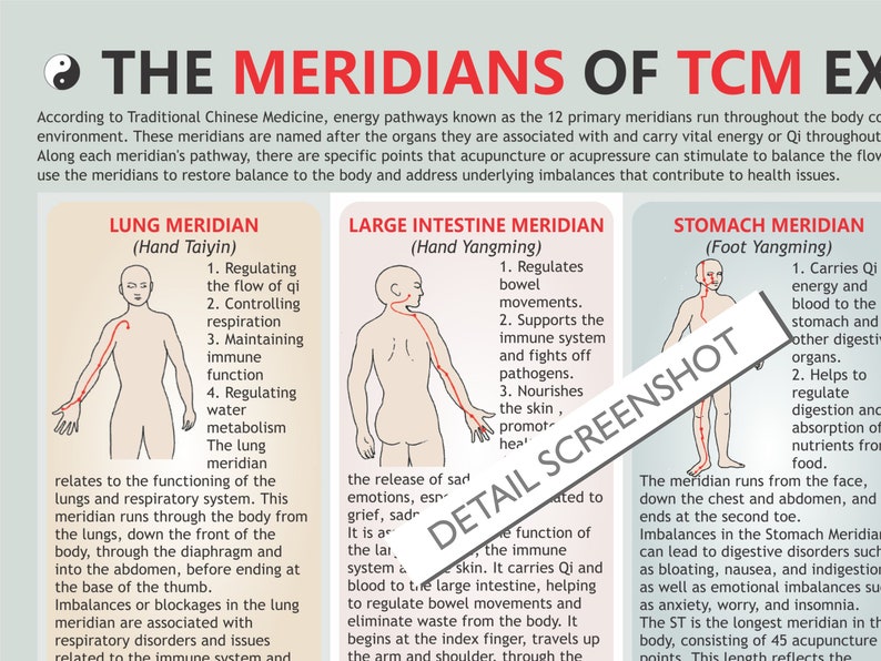 TCM Meridians Chart, Digital Download PDF, Chinese Medicine, Meridian ...