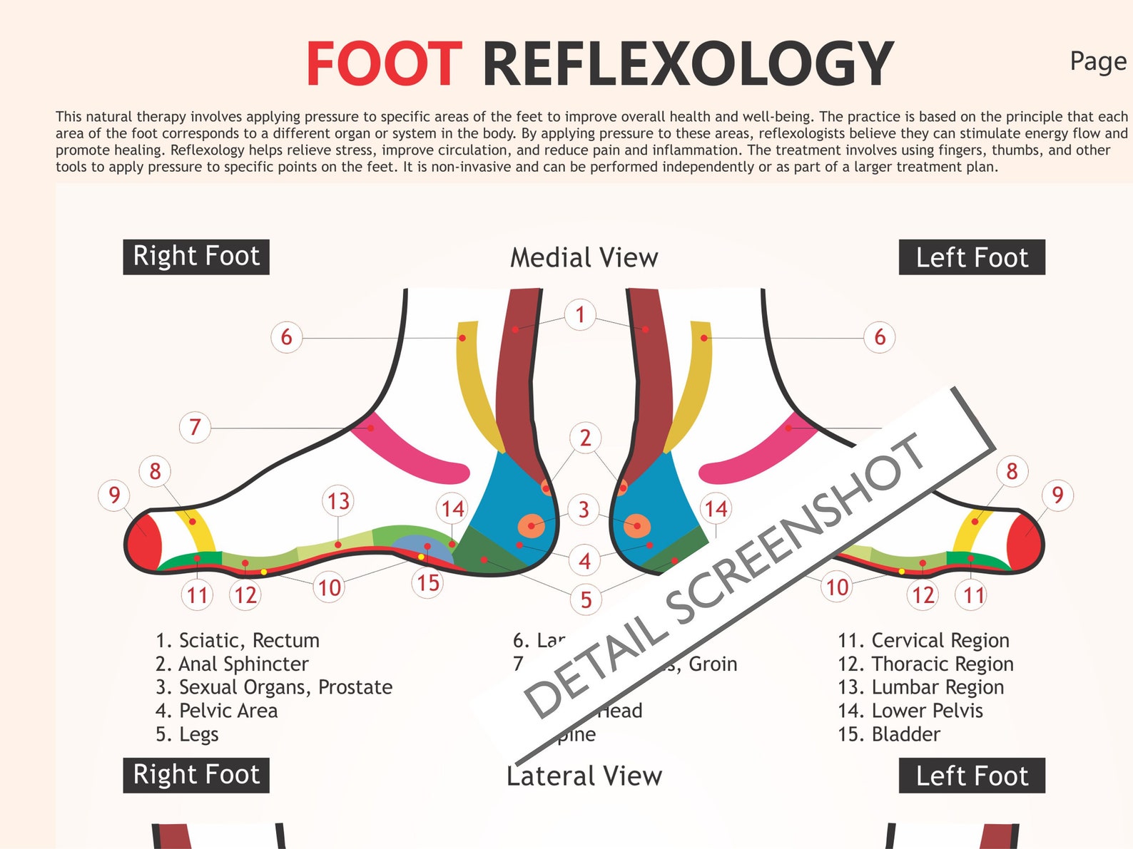 Foot Reflexology Chart, Digital Download PDF, Reflexology Chart ...