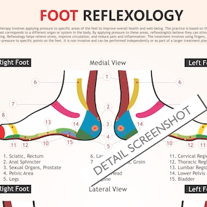 Foot Reflexology Chart, Digital Download PDF, Reflexology Chart ...